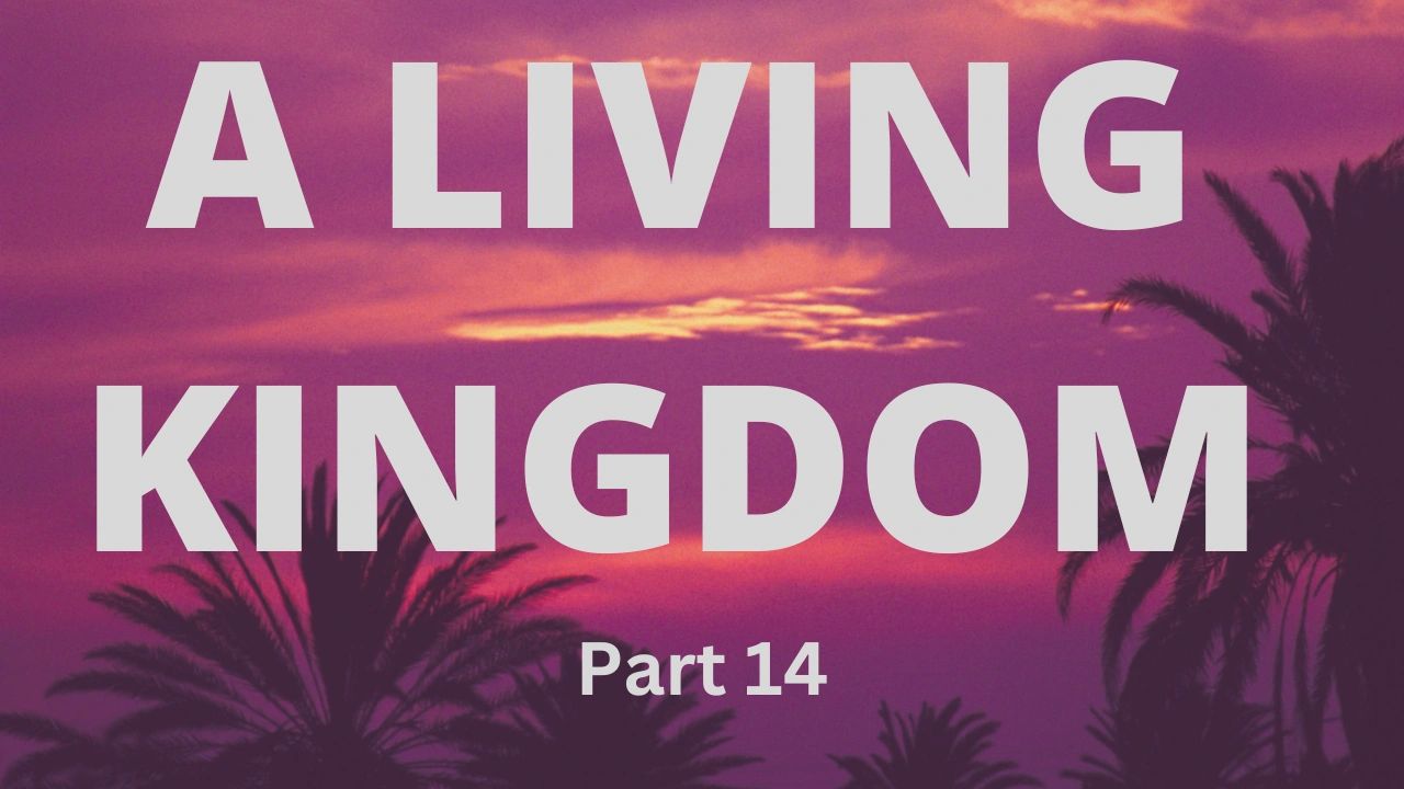 A Living Kingdom of Reality - Pt 14